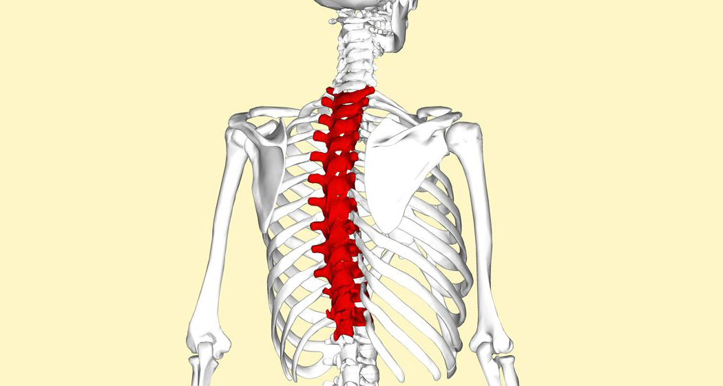 Dorsalgia - RC Therapy